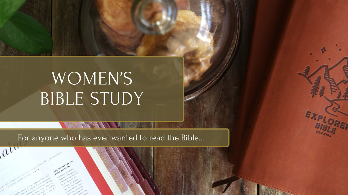 Week 2 | The Book of Genesis, Chapters 5-8 — SoCo Lashes