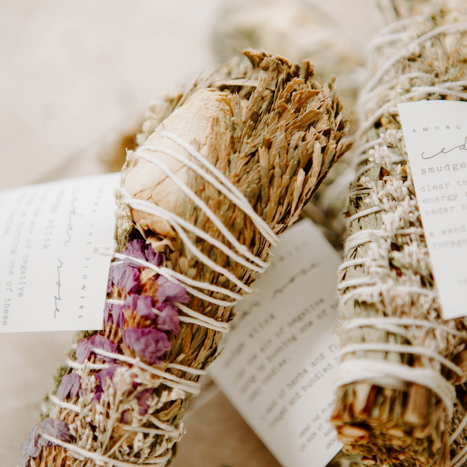 Products — SoCo Lashes