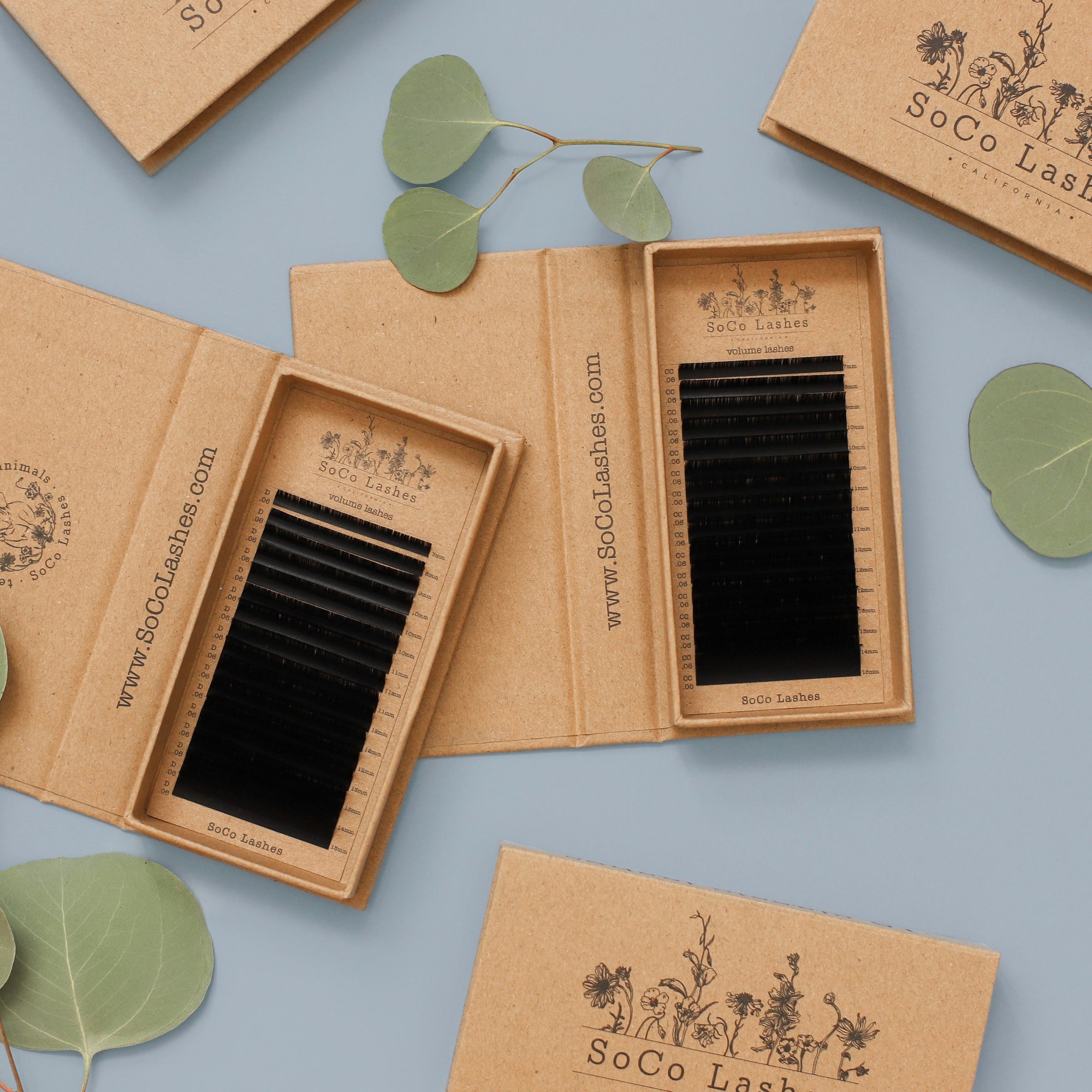 VOLUME & MEGAVOLUME LASHES — SoCo Lashes